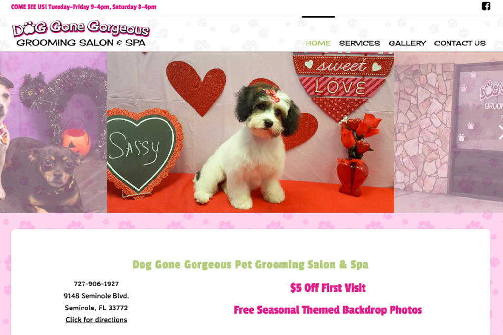 Dog Gone Gorgeous Grooming Salon & SpaSeminole, Florida | Stryker ...